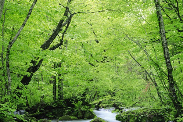 Index of /upload_files/news2